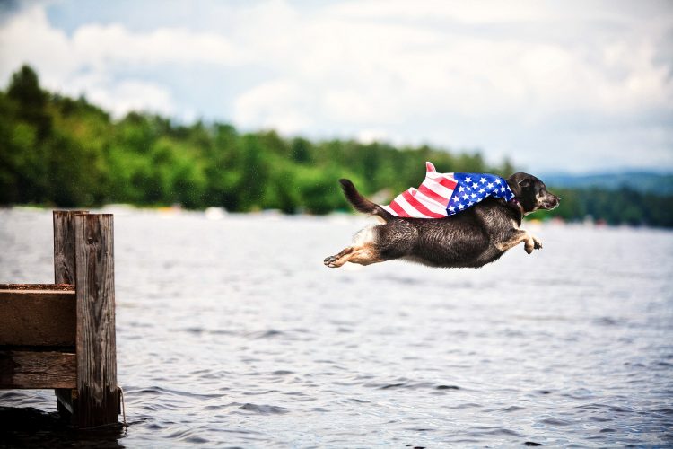The 30 Funniest Fourth Of July Tweets Ever - Mandatory