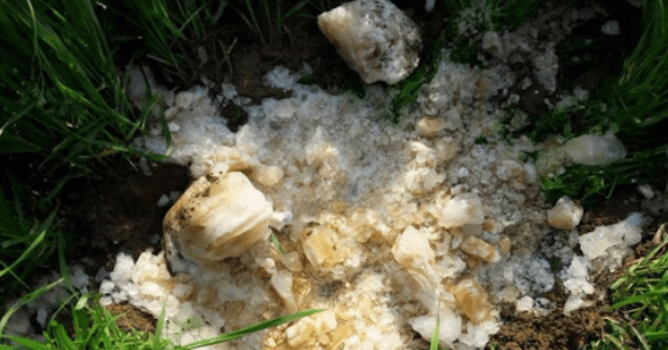 Indian Villagers Thought Poop Falling From Airplanes Was Rare Mineral