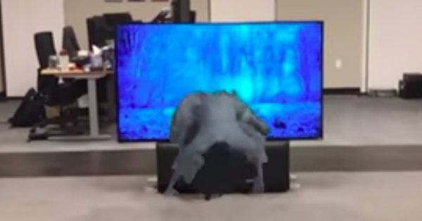 Augmented Reality On Famous 'The Ring' Scene