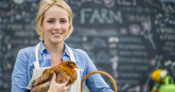 People Can Now Rent A Chicken