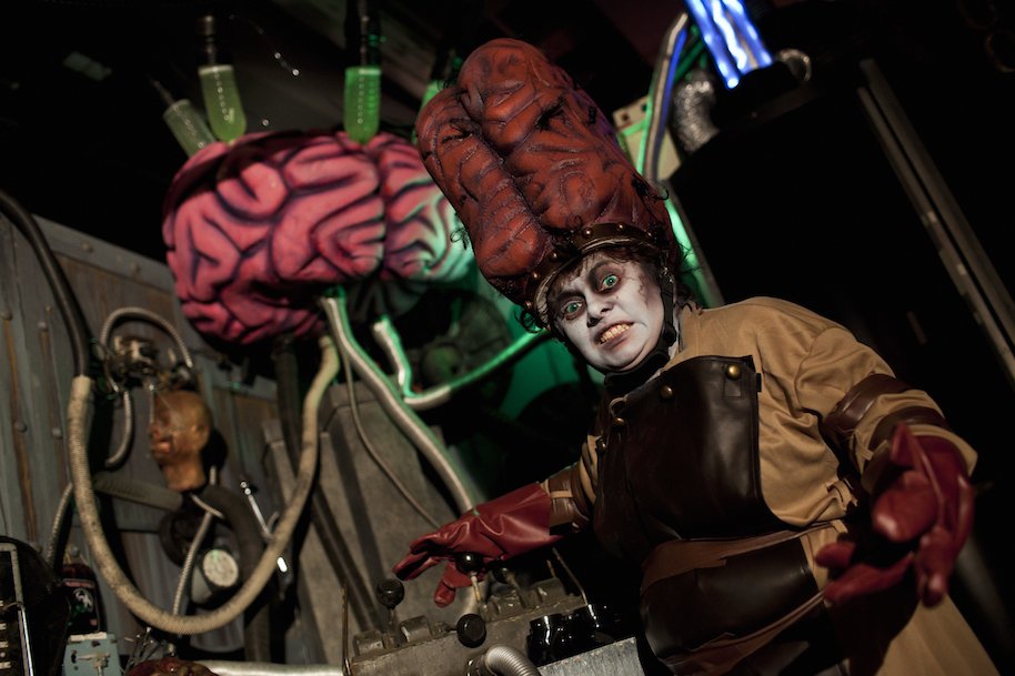 Scientists Resurrecting Pig Brains Could End In 'Fate Worse Than Death'