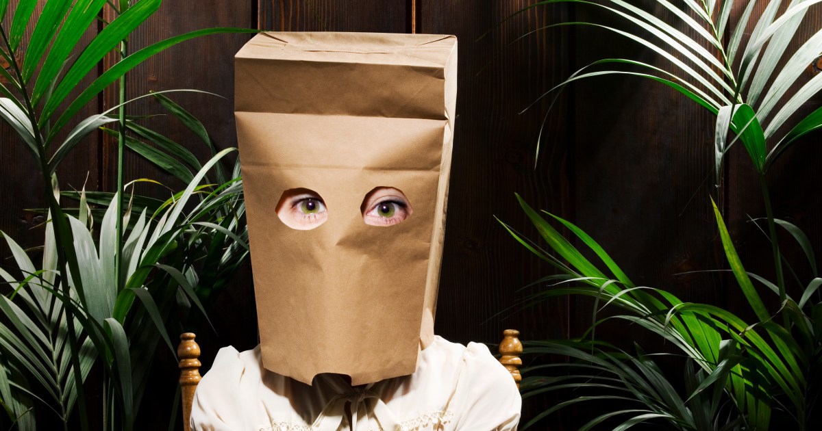 The Lower Brain: Too Shy - Mandatory