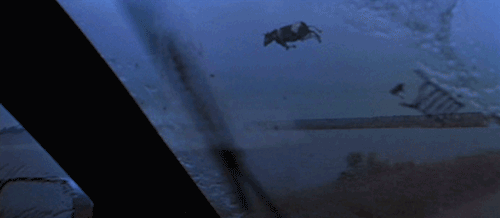 Twister Movie Cow