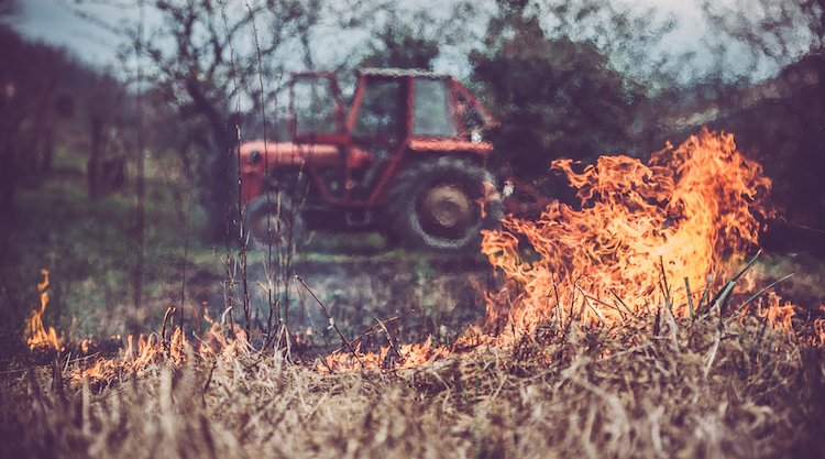 Watch Farmers Use Flamethrower Tractor To Eradicate Weeds