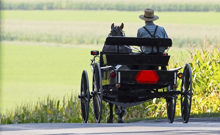 Genius Amish Entrepreneur Starts Horse-And-Buggy "Amish Uber"