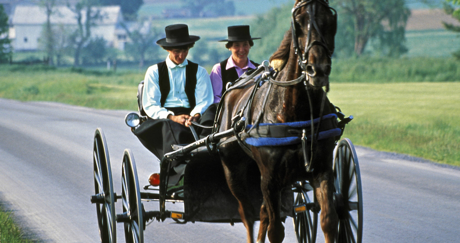 10 Surprising Facts About The Amish That Are Actually True