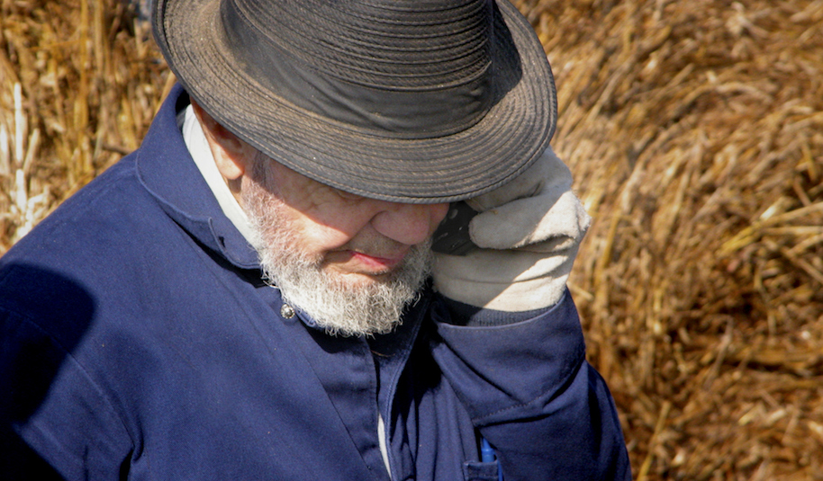 10 Surprising Facts About The Amish That Are Actually True