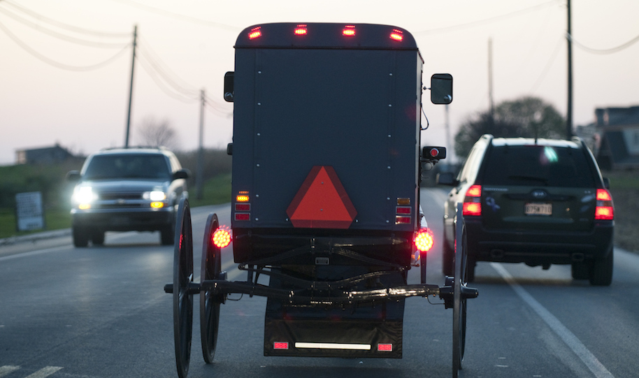 10 Surprising Facts About The Amish That Are Actually True