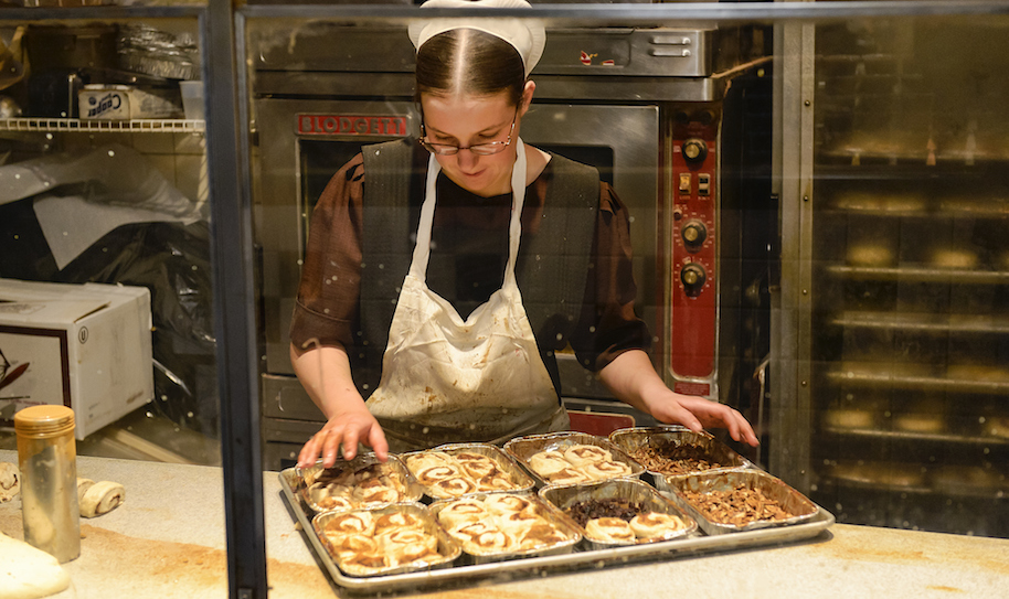 10 Surprising Facts About The Amish That Are Actually True