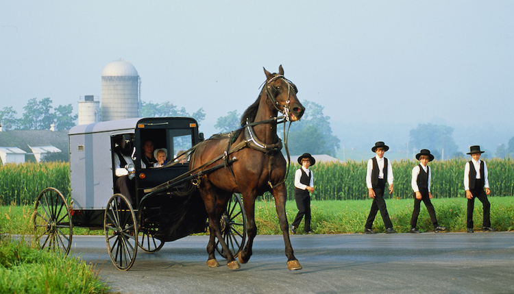 10 Surprising Facts About The Amish That Are Actually True