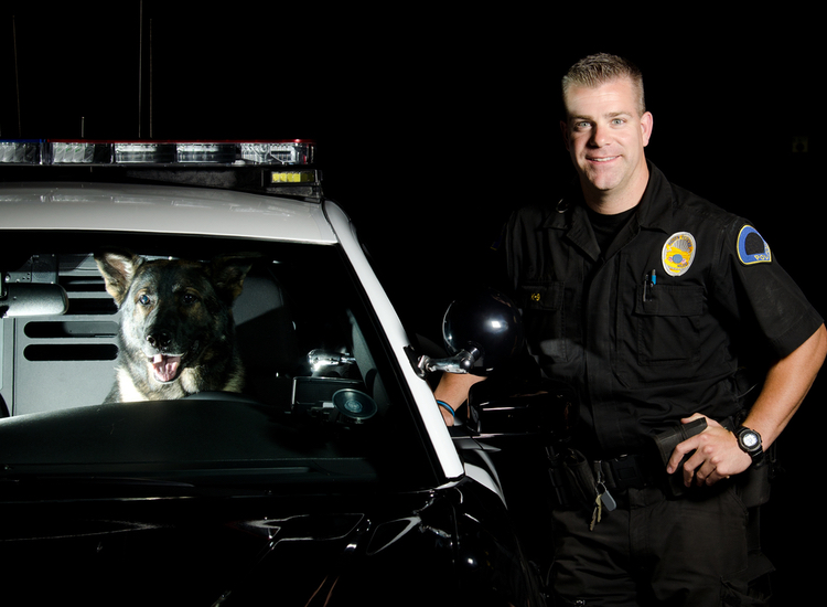 Mandatory Weird News: Dog Steals Cop Car, Eats Officer's Beef Jerky
