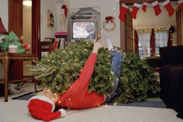 The Smell of Pine Trees Proven to Have Multiple Health Benefits, As If ...