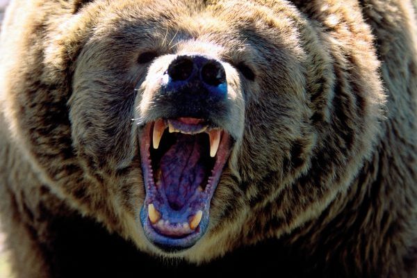 New National Parks PSA Tells You Not to Push Your 'Slower Friends' in ...