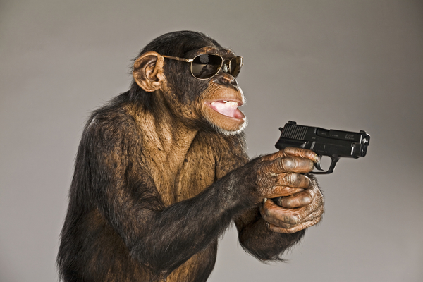 Monkeys With Guns And Knives