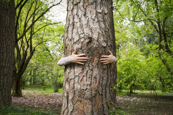 Damn Hippies: Woman Breaks Most Boring World Record Hugging a Tree For ...