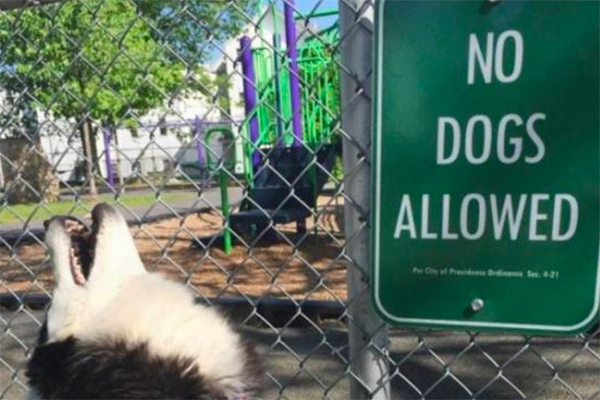 Mandatory Laughs: Today’s Funny Photos For 11-24-2020