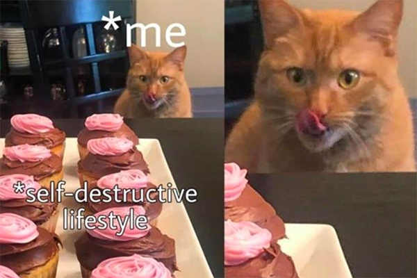 Mandatory Monday Funny Memes of the Week 11-09-2020