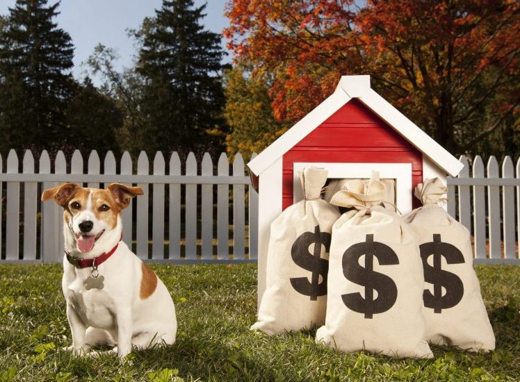 Meanwhile in Tennessee: Wealthy Man Leaves Fortune To His Dog Lulu,