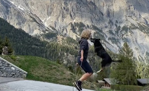 Man’s Best Workout Buddy: Jump-Roping Dog More Coordinated Than Most Humans
