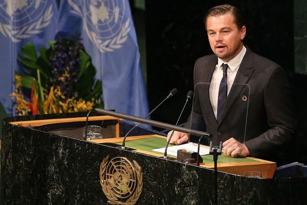 Leonardo DiCaprio Has Tree Named After Him, How They Missed 'Treenardo ...