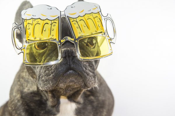 Anheuser-Busch Seeks Dog Brew Chief Tasting Officer (Time to Make That ...