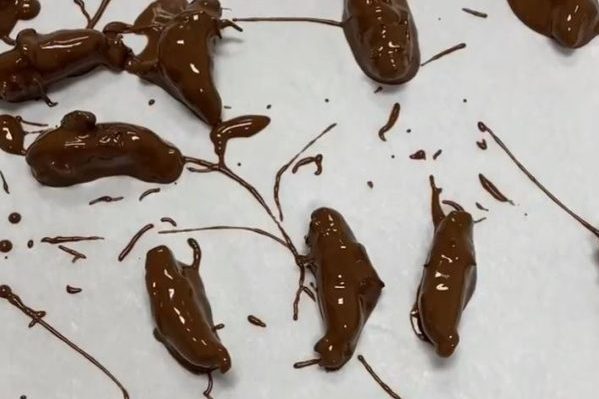 Meanwhile in Maryland: Candy Shop Selling Chocolate-Covered Cicadas ...