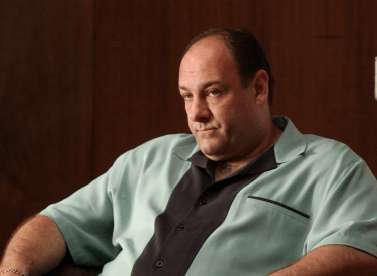 The Mandatory Tony Soprano Guide For Guys Giving Therapy a Try