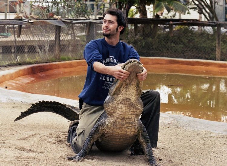 Utah Zoo Guest Wrestles Alligator After Handler Dragged Underwater