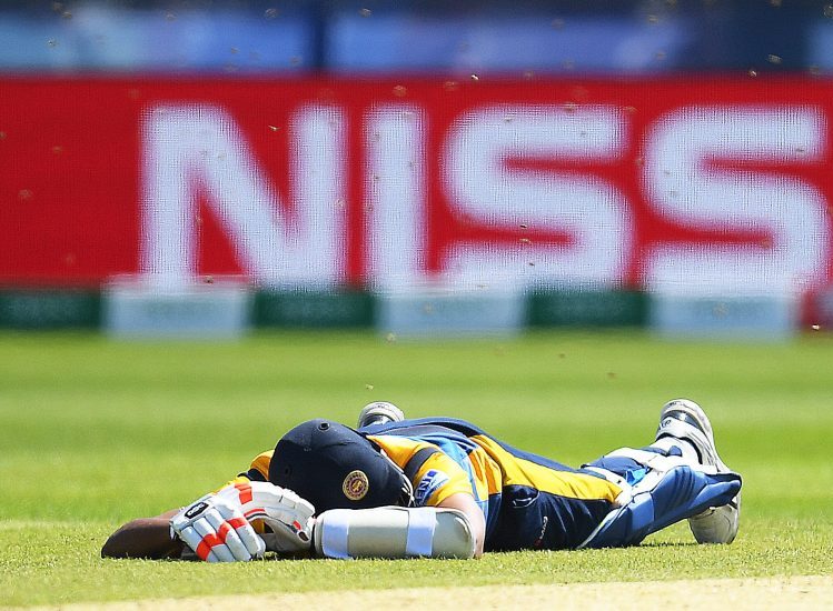 Watch Swarm of Bees Erupt During Cricket Match to Spice Things Up