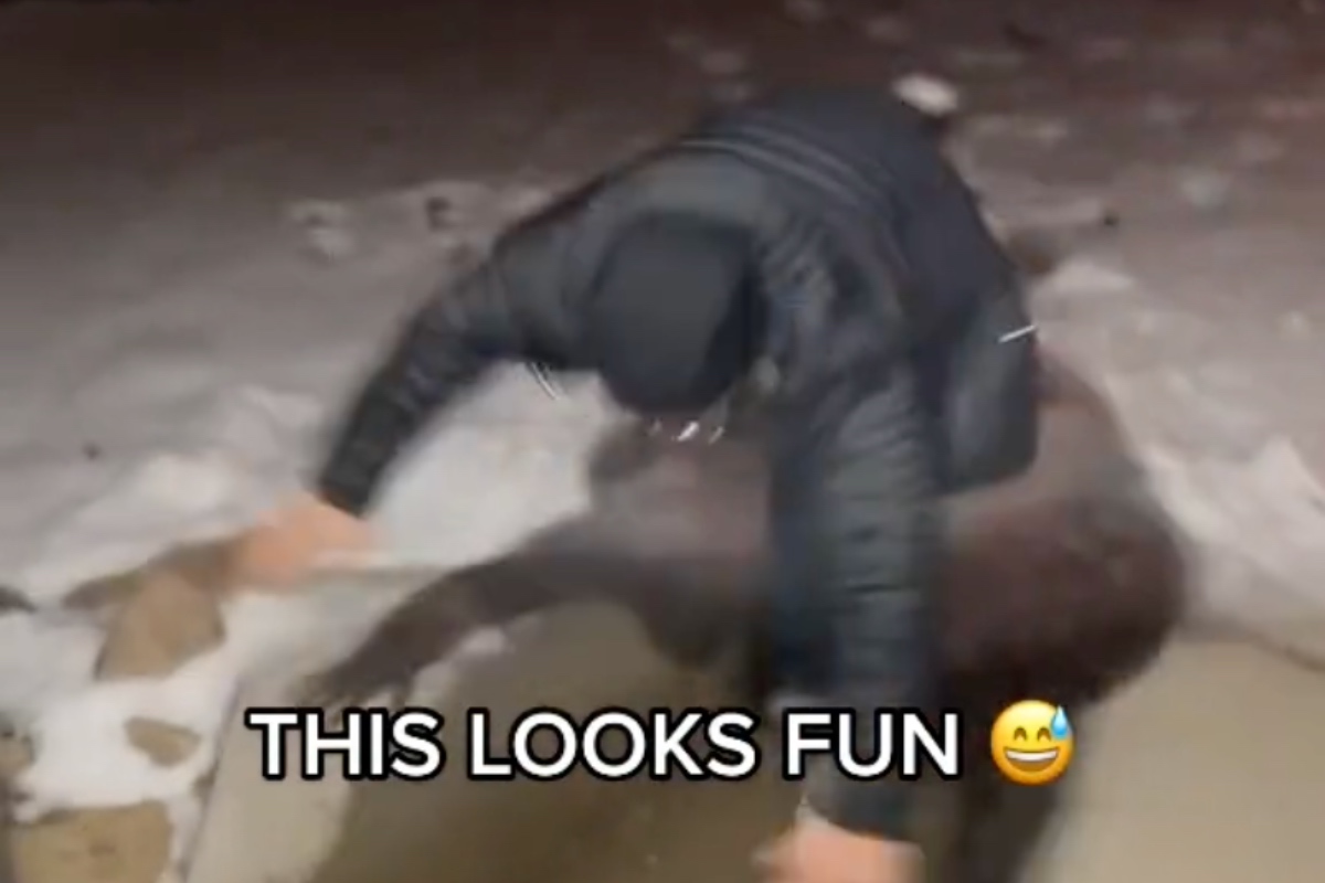 Fun Archives - Page 95 of 1308 - Mandatory