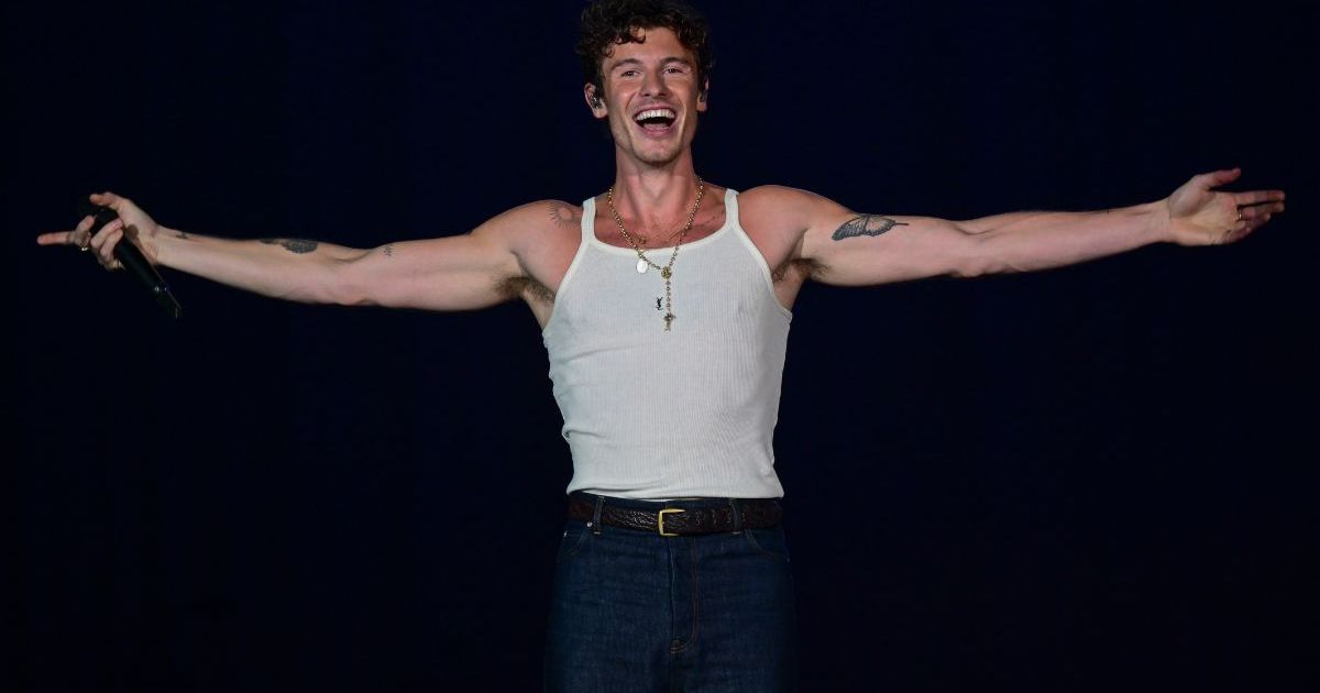 Shawn Mendes Goes Shirtless for Fun Interview Magazine Cover - Mandatory