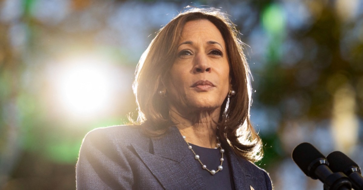 Yes, Kamala Harris Is on the Cover of Vogue for October 2024 - Mandatory