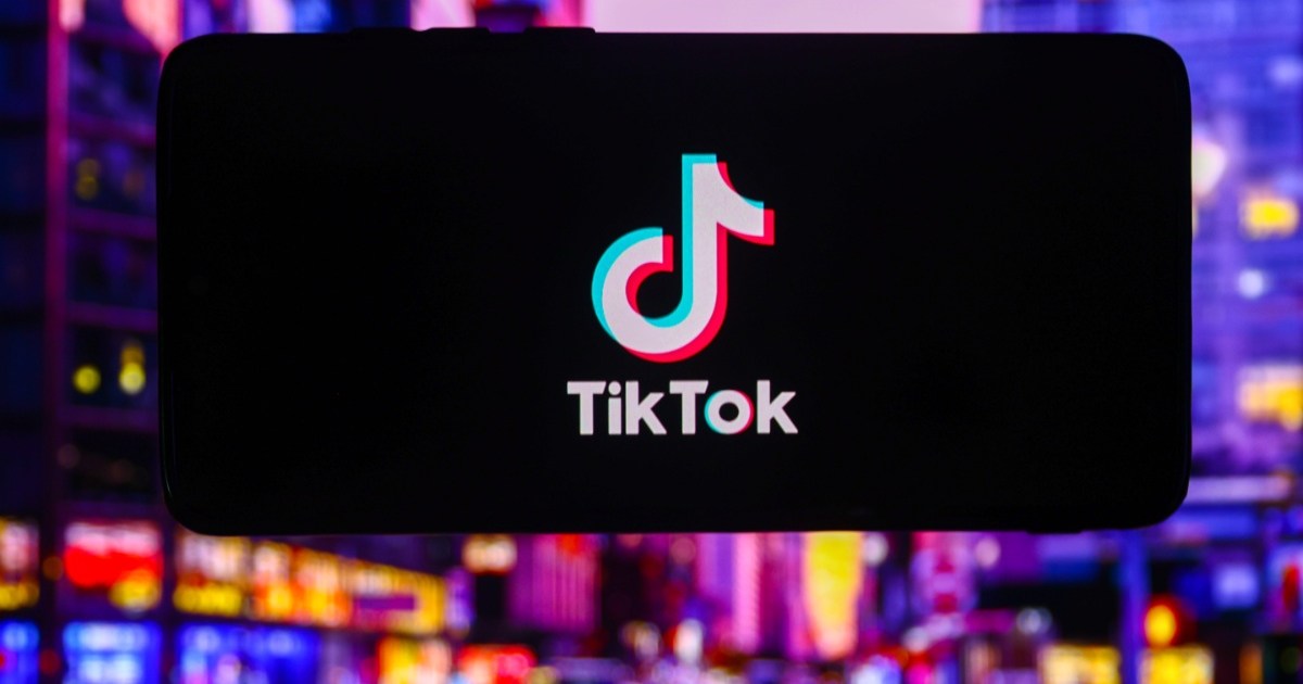 Chip Shop Diva on TikTok Explained - Mandatory