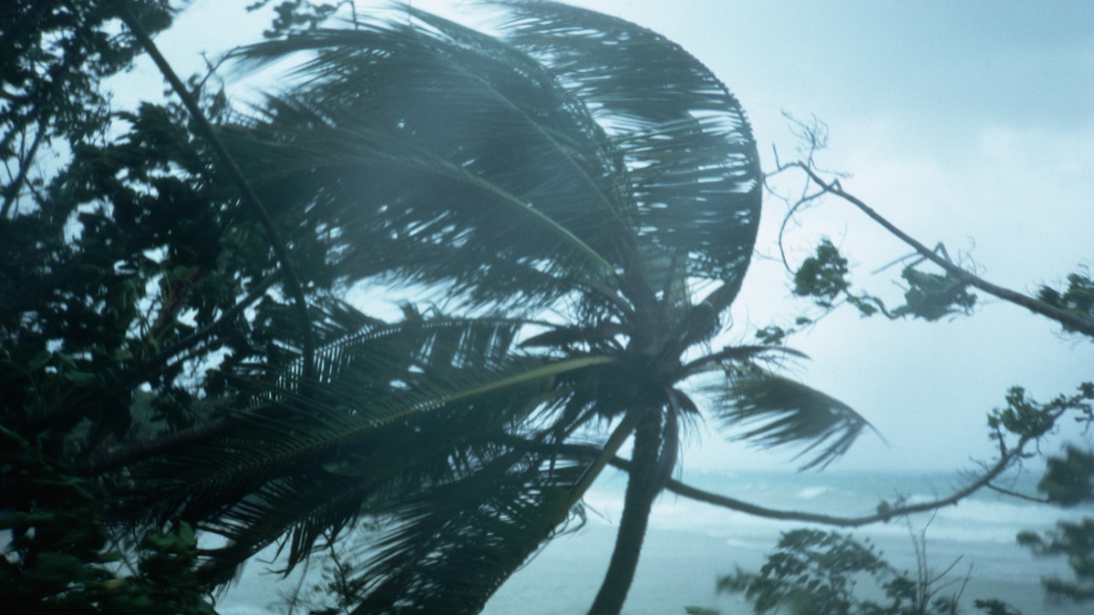 Here's When Hurricane or Tropical Storm Tony Could Form, Models Say ...