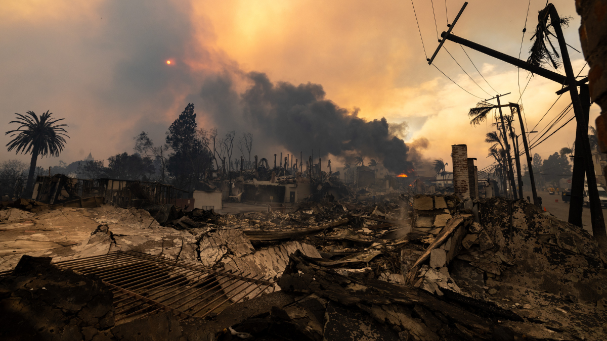 Elizabeth Chambers Shares Heartbreaking Before & After Photos of LA ...