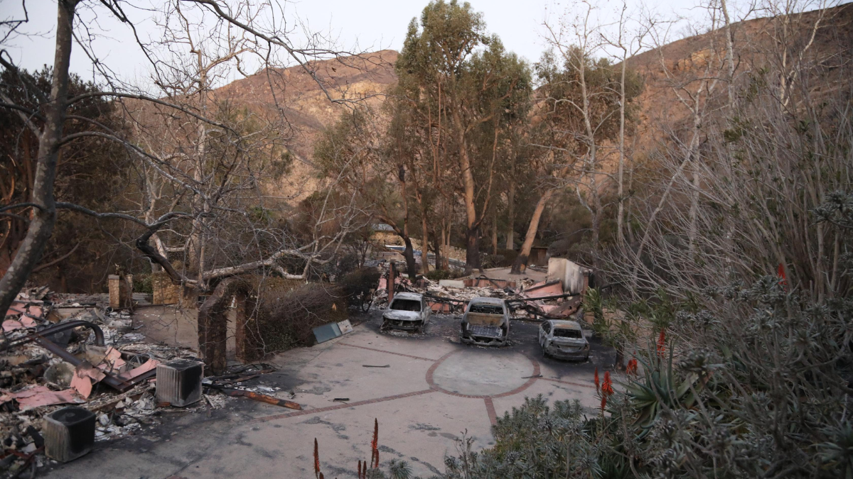 Mel Gibson Sees Losing Malibu Home in LA Fire as 'Purification' - Mandatory