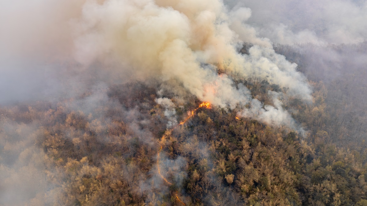 Border 2 Fire Map Shows The Spread of the Wildfire in San Diego County ...