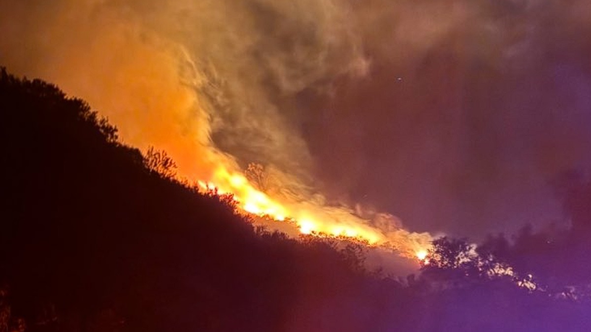 Lilac Fire Map in San Diego Shows How Far the Wildfire Has Spread ...
