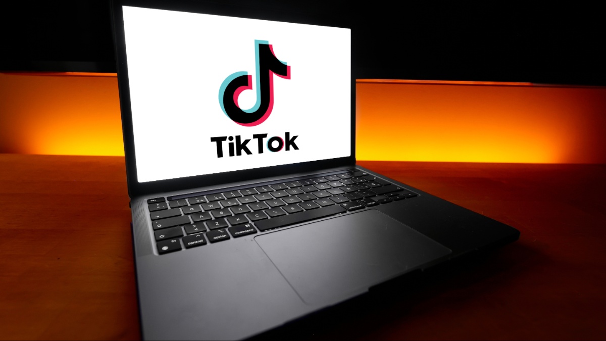 Here’s What ‘Clutterfunk Cat’ on TikTok Is About - Mandatory