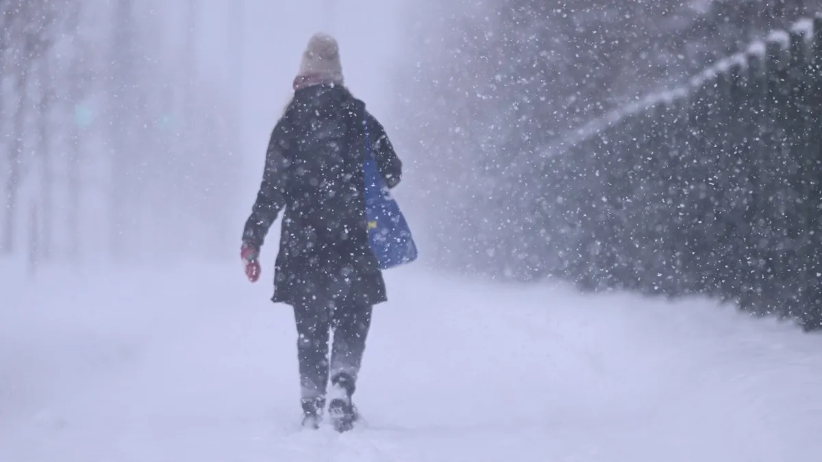 Here's When Two Winter Storms Are Expected to Come This Week - Mandatory