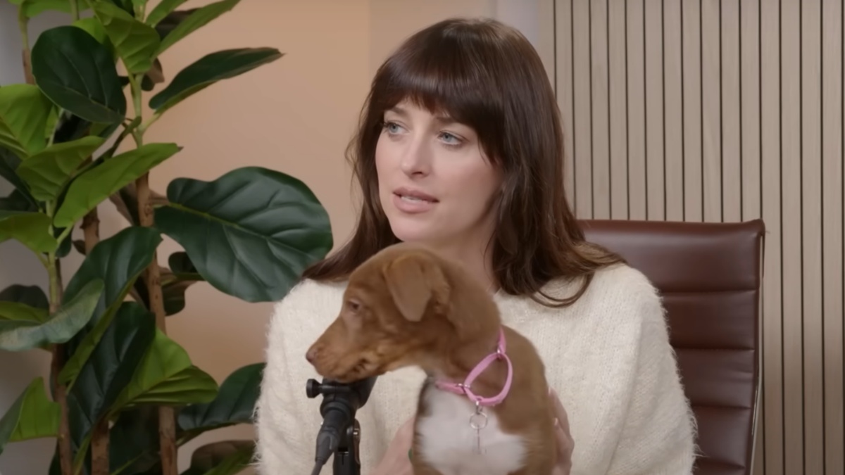 Dakota Johnson Debuts New Dog Tokyo After Reported Chris Martin Split ...