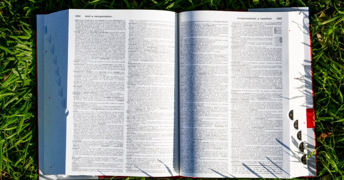 Skibidi, Delulu & Other Internet Slang Added to Cambridge Dictionary ...
