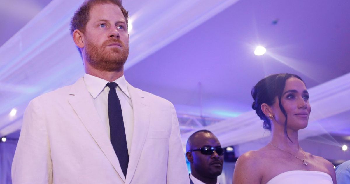 Author Holds Prince Harry & Meghan Markle Responsible for Damage Caused ...