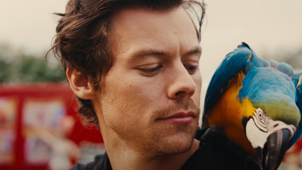 Harry Styles Uses Aliases Like ‘Sir Dick’ To Live a Secret Life ...