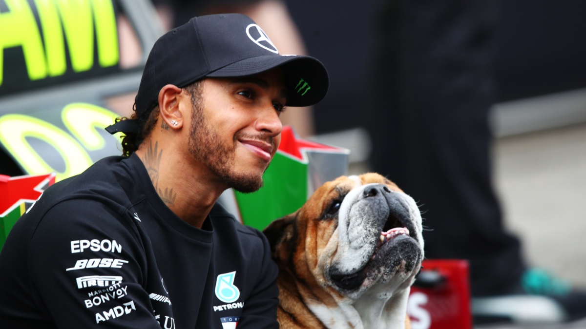 F1 Star Lewis Hamilton’s Bulldog Roscoe Passes Away at 12 - Mandatory