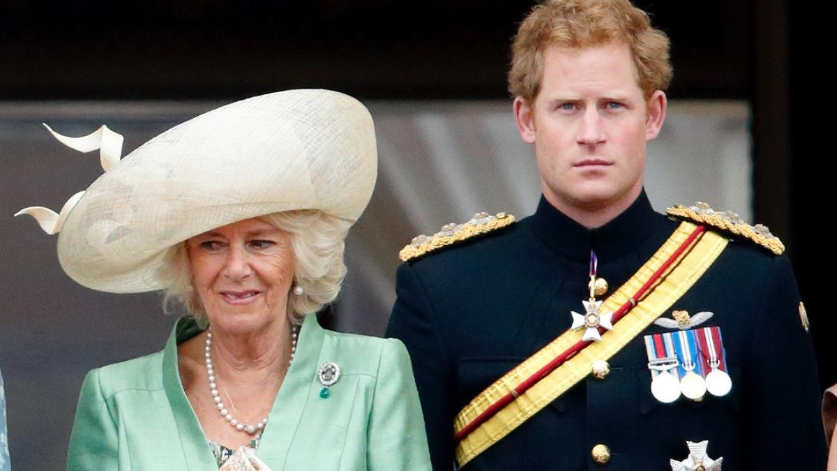 Queen Scheming to Separate Prince Harry’s Family From the King — Source ...
