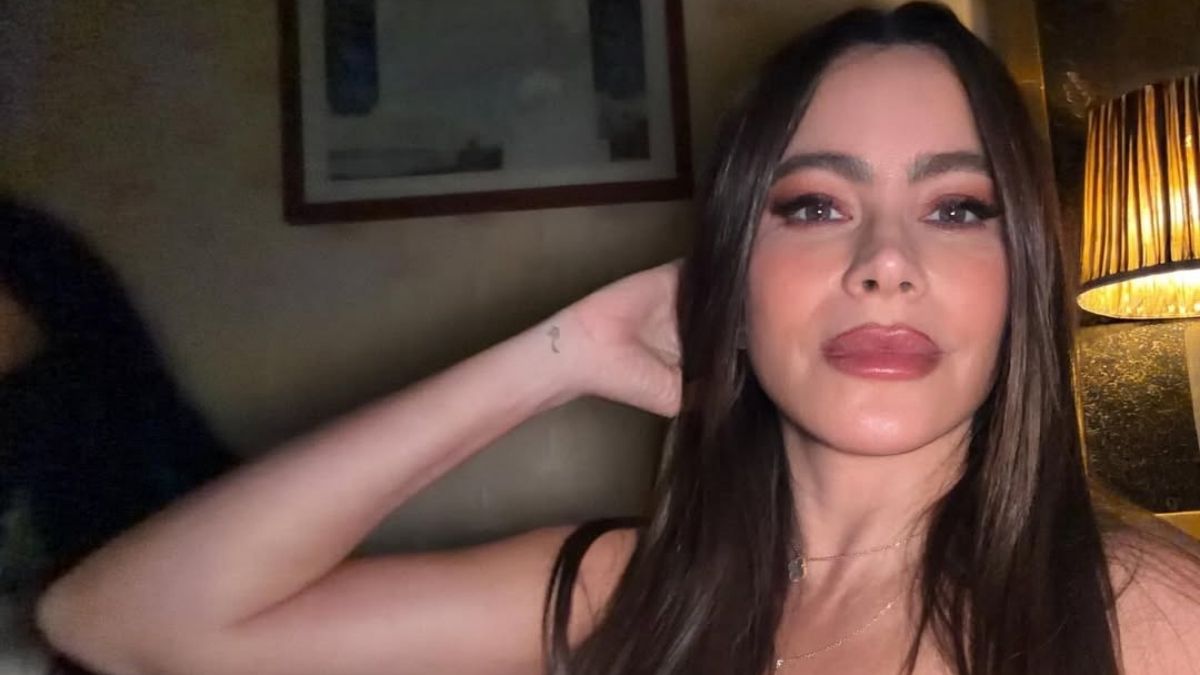 Sofia Vergara S Selfie In Red Bustier Dress Has Fans Saying Mami