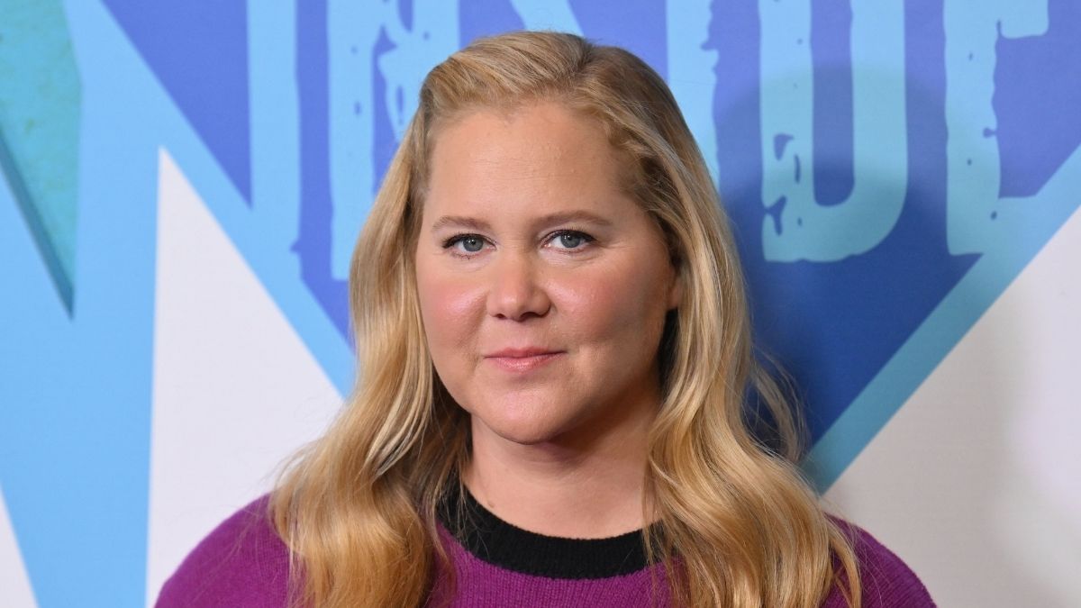 Amy Schumer Offers No Explanation for Deleting All Her Old Pics - Mandatory