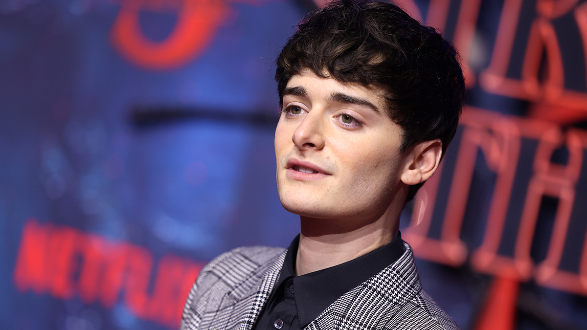 Noah Schnapp Reveals How Stranger Things’ Cast Will Celebrate Finale ...