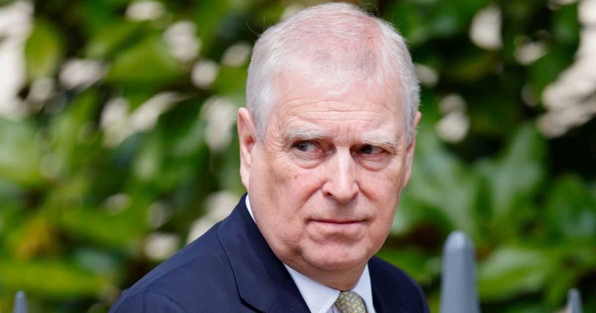 Ex-Prince Andrew’s Teddy Bear Collection Moved Into Storage — Report ...